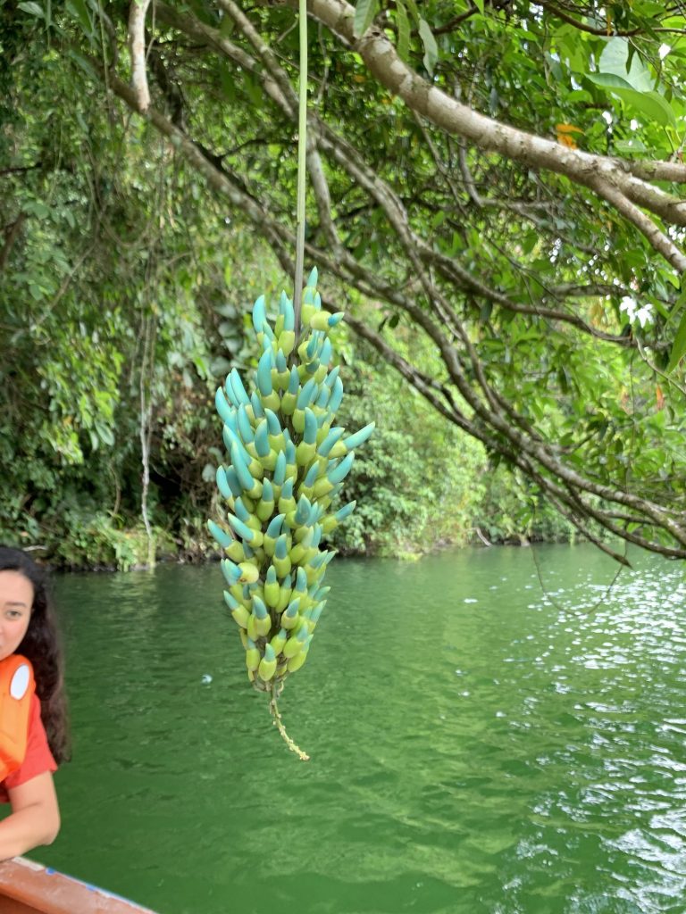 Bicol: The Hidden Gem of the Philippines – Adventure, Nature, and ...